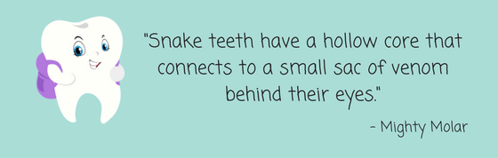 Mighty Molar's Guide to Huntington Beach - Capitol Dental Care